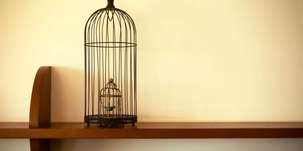 The Importance of Cage Placement in Your Home – MyCuddyPet.com